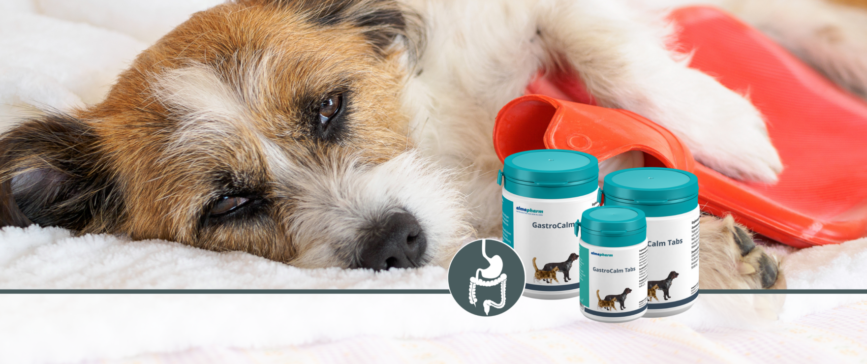 was fehlt, ergänzen wir natürlich – almapharm